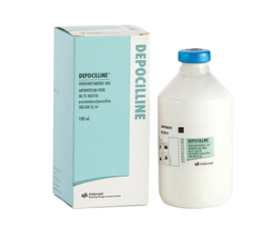 Depocilline, 100 ml - Arts & Dier