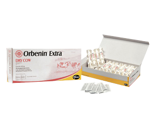 Orbenin extra dry cow, injector, 60 stuks - Arts & Dier