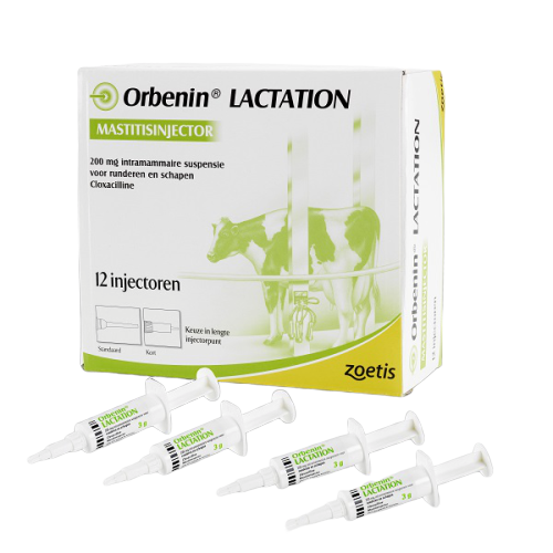 Orbenin lactation, injector, 12 stuks - Arts & Dier